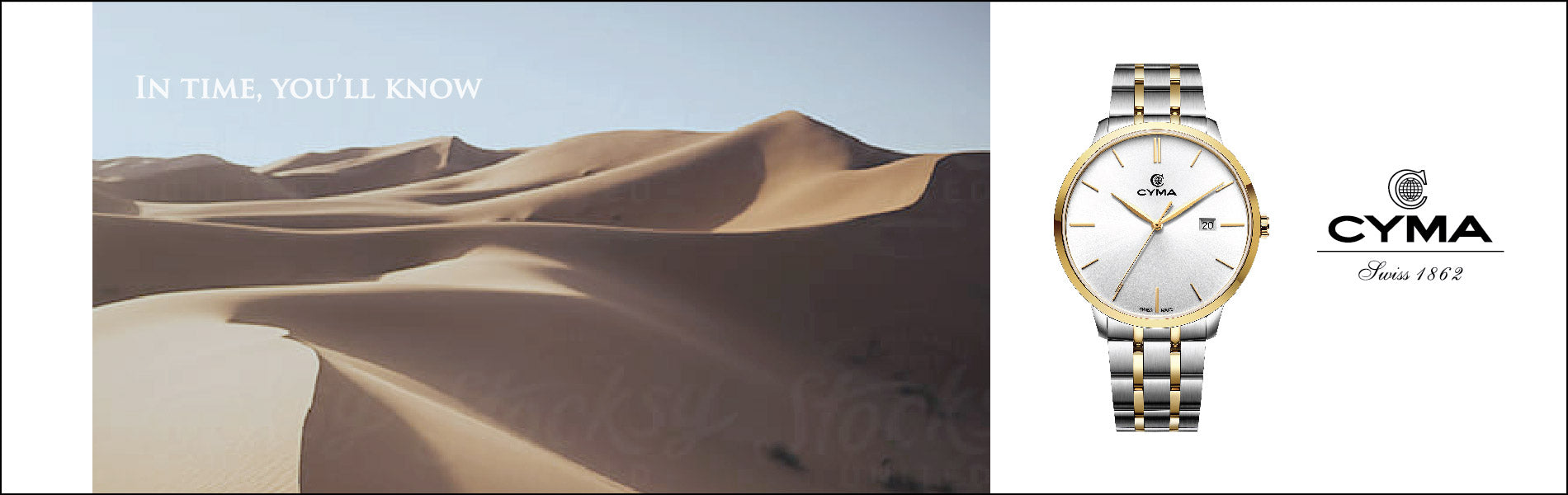 INTELLIGENTSIA – CYMA